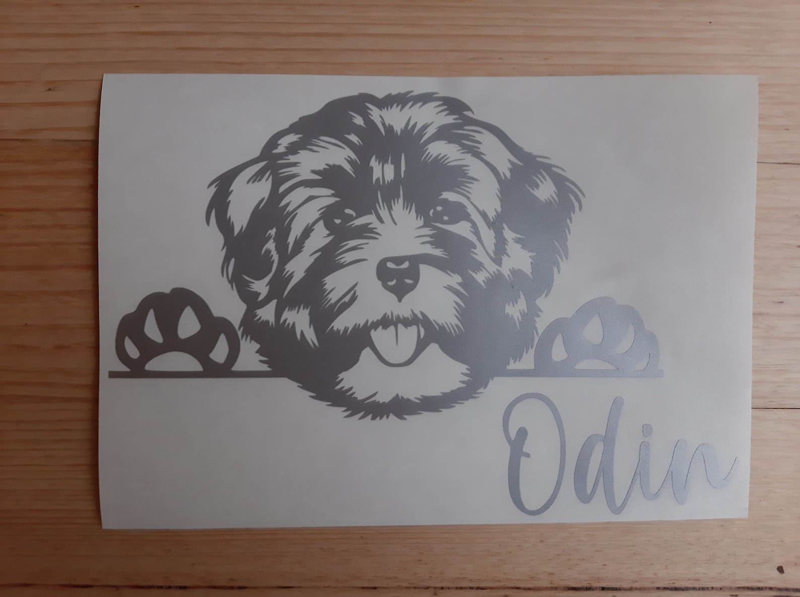 Havanese Peeking Dog Car Decal Sticker, Havanese Dog Sticker, Vinyl ...