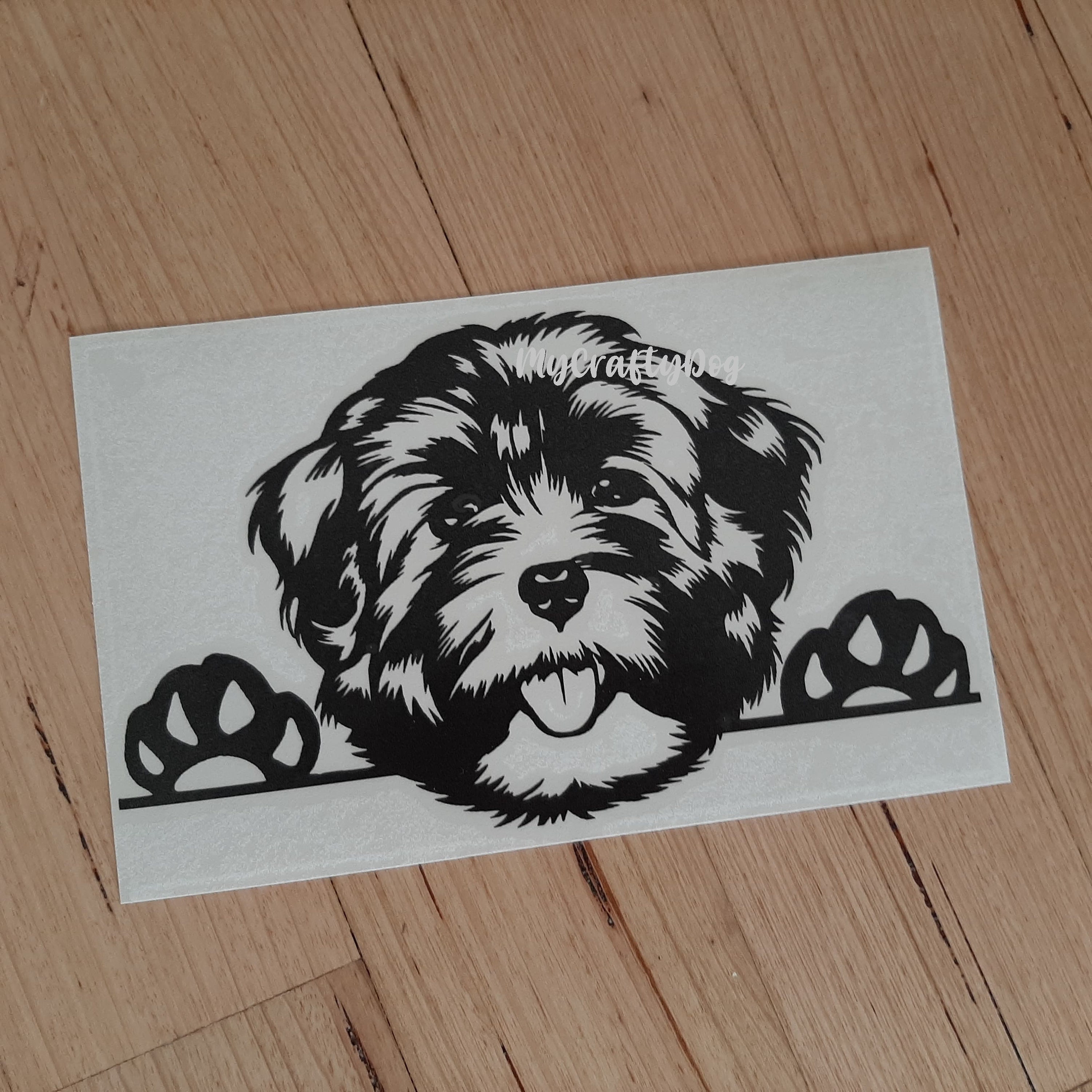 Havanese Peeking Dog Car Decal Sticker, Havanese Dog Sticker, Vinyl ...