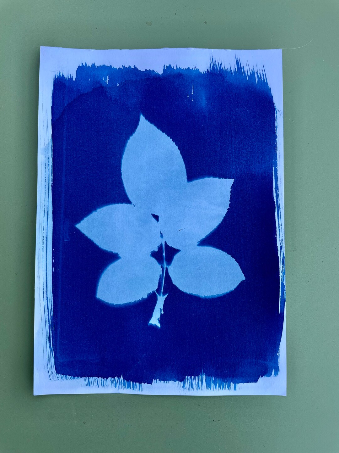 Cyanotype Drawing - Etsy