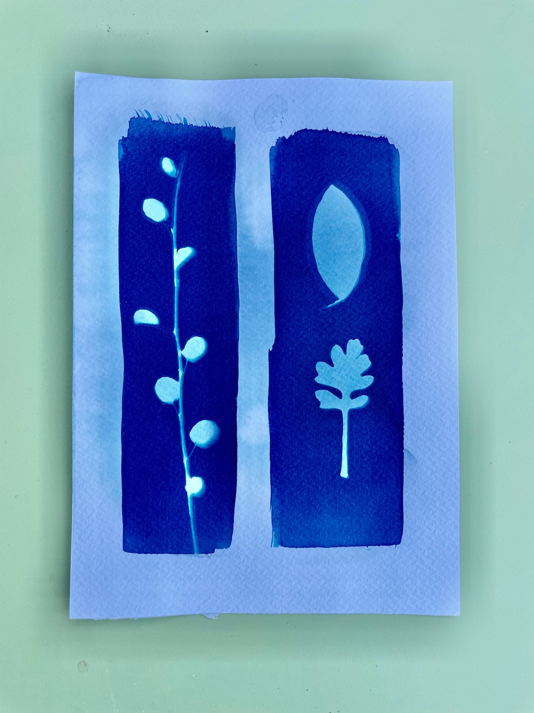 Cyanotype Drawing - Etsy
