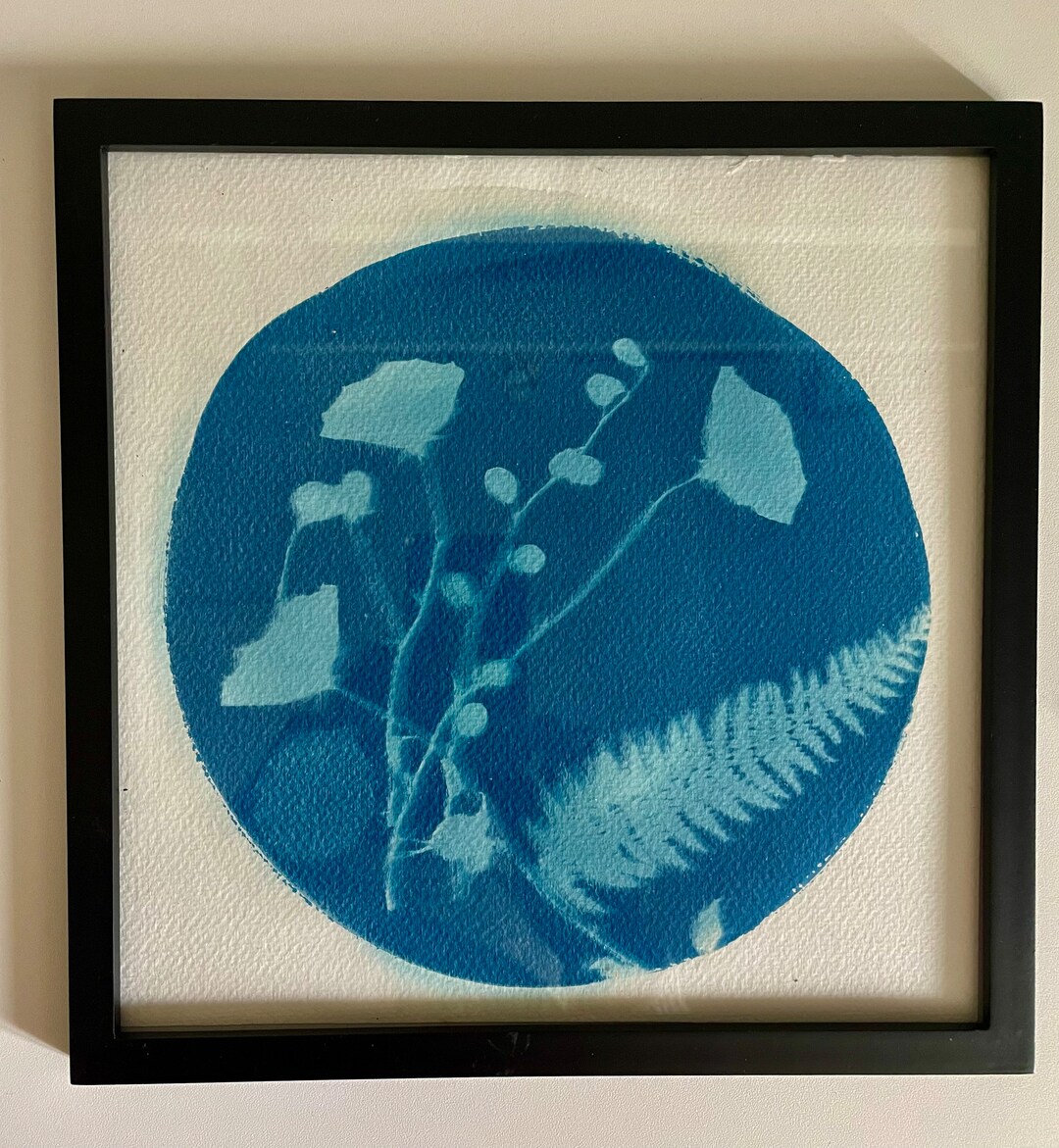 Frame With Blue Plant Cyanotype Print - Etsy