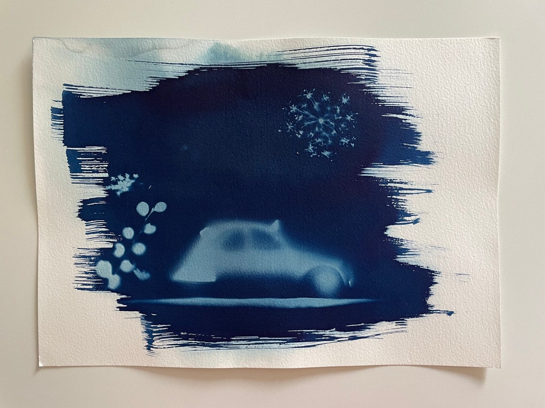 Drawing Cyanotype on 2cv and Vegetal Paper Monochrome - Etsy