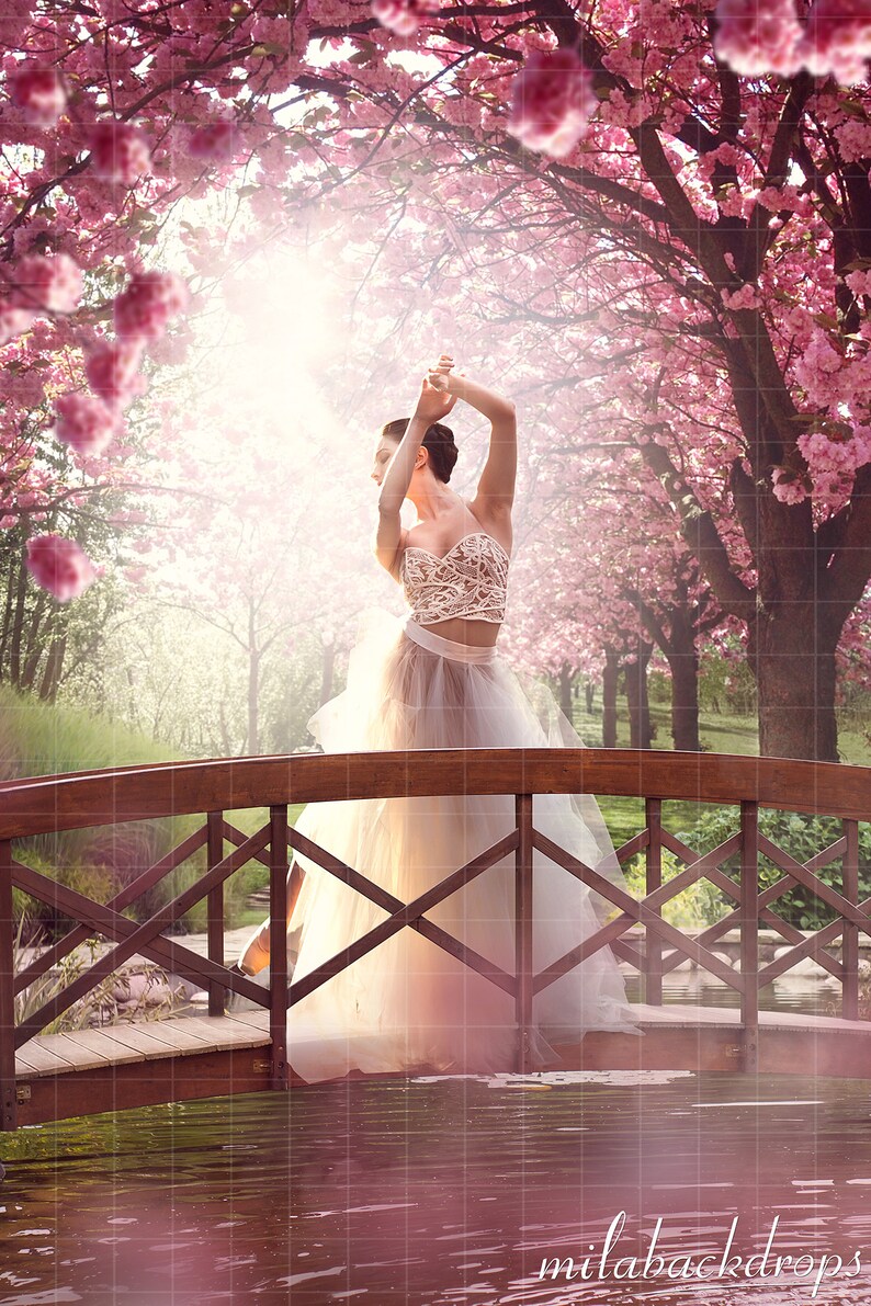 Cherry Blossom Tree Digital backdrop Cherry Blossom Digital | Etsy