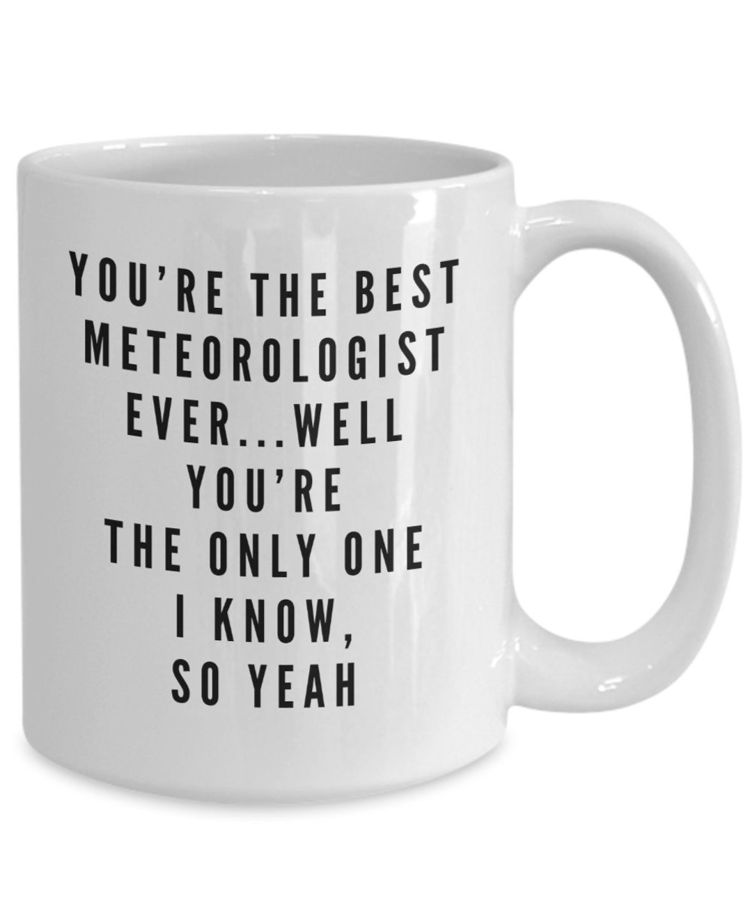 Gift for Meteorologist, Meterologift Gift Idea, Funny Meteorologist ...