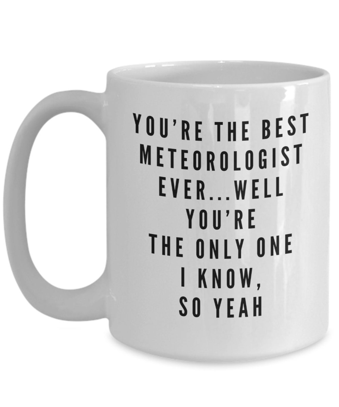 Gift for Meteorologist Meterologift Gift Idea Funny - Etsy