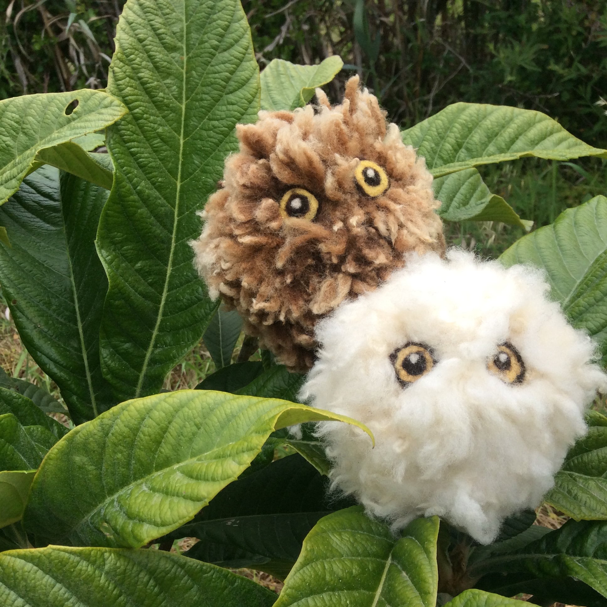 Cute Fluffy Baby Owls