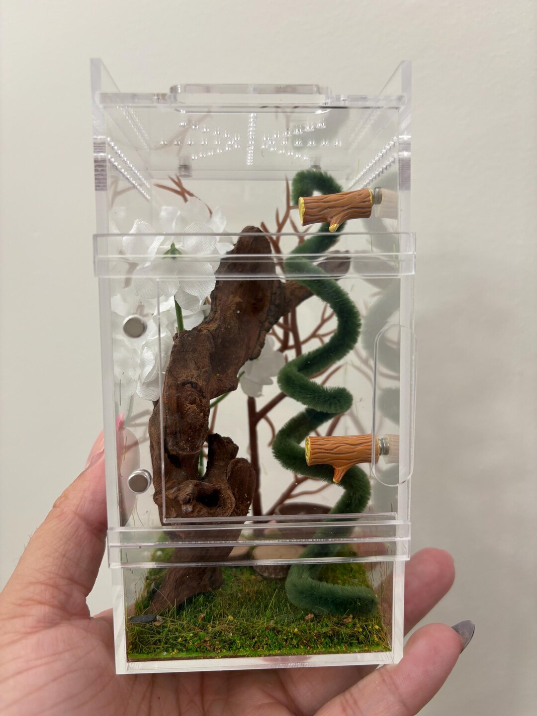 Jumping Spiderling Enclosure - Nature Themed Spider Enclosure - Etsy