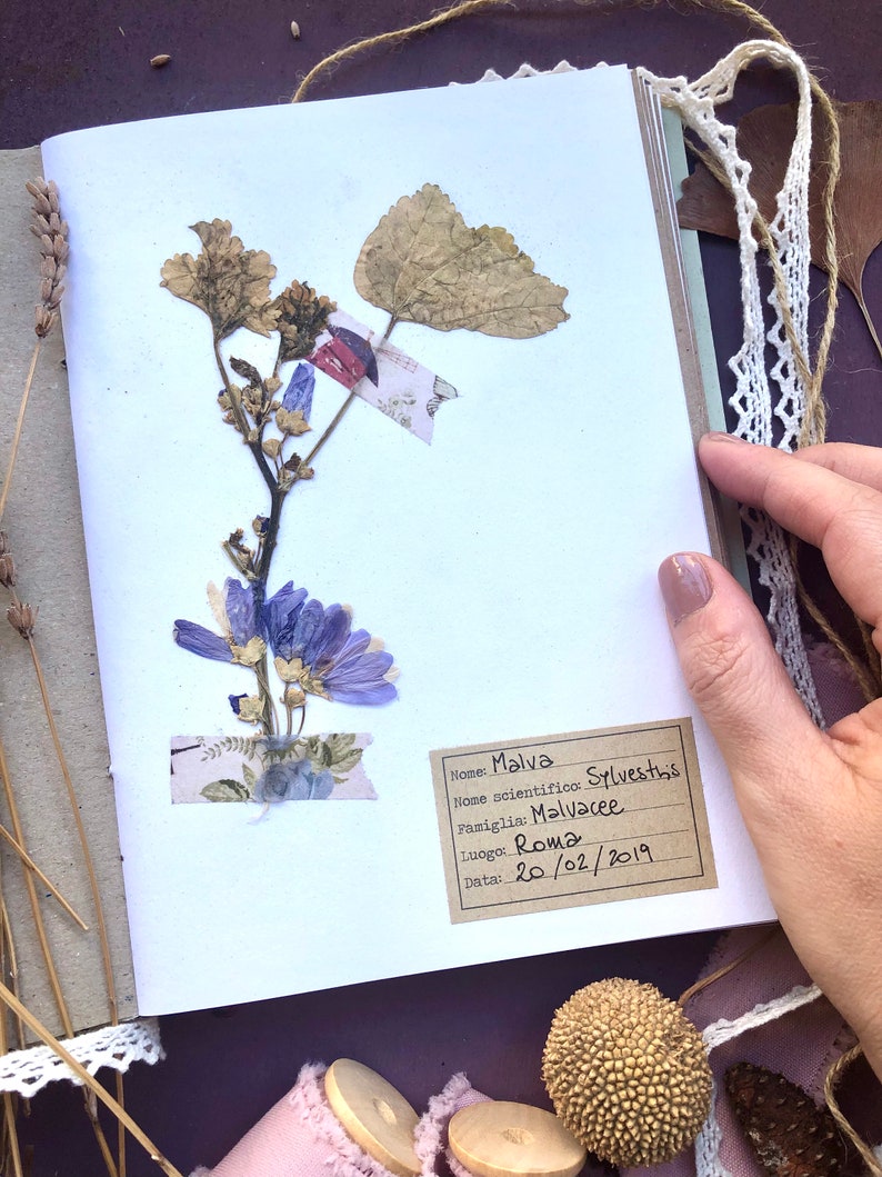 Handmade Eco Box for Nature Lovers Handmade Herbarium Set - Etsy