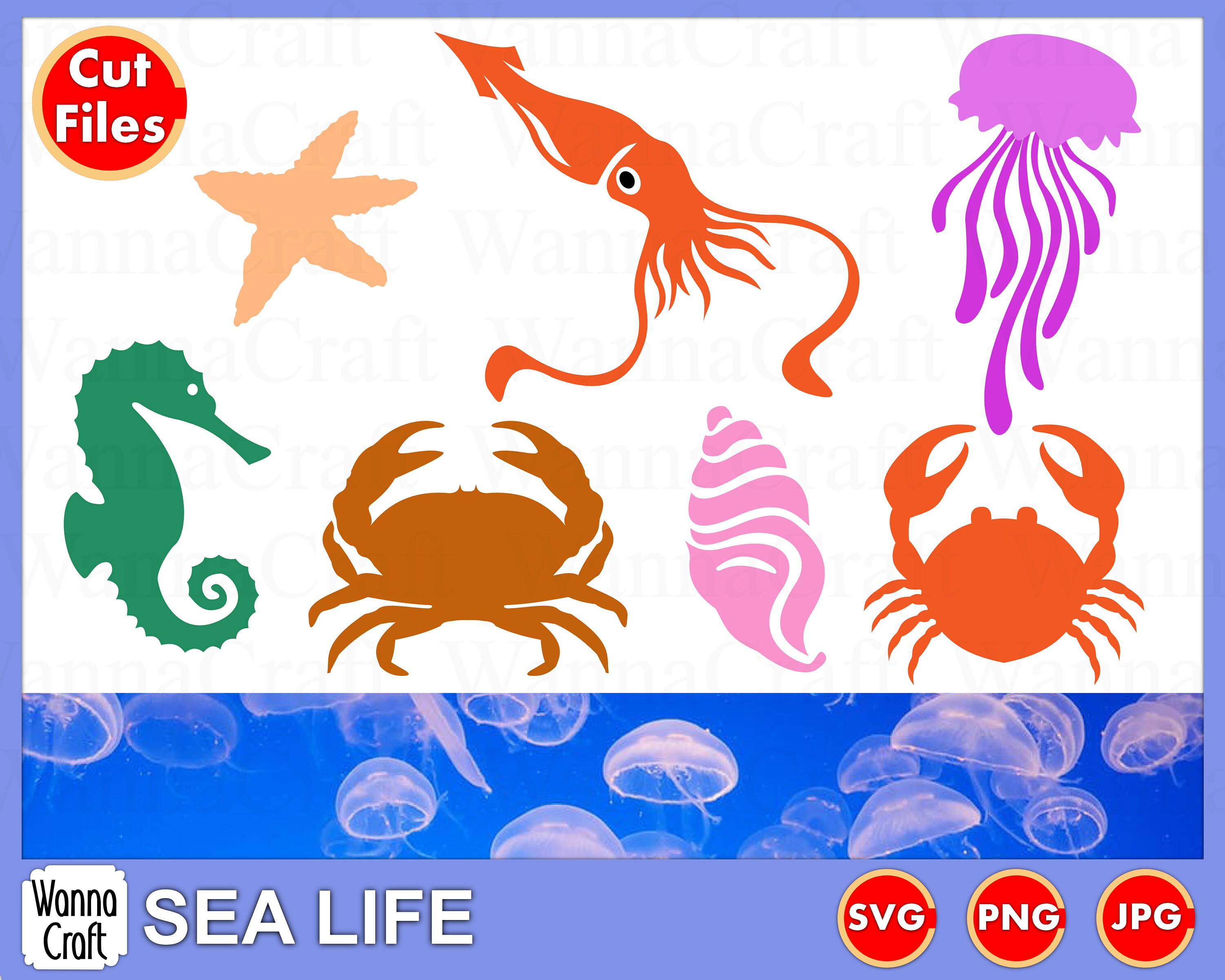 Sea Life SVG Cut Files L Ocean Creatures Svg L Underwater Svg | Etsy