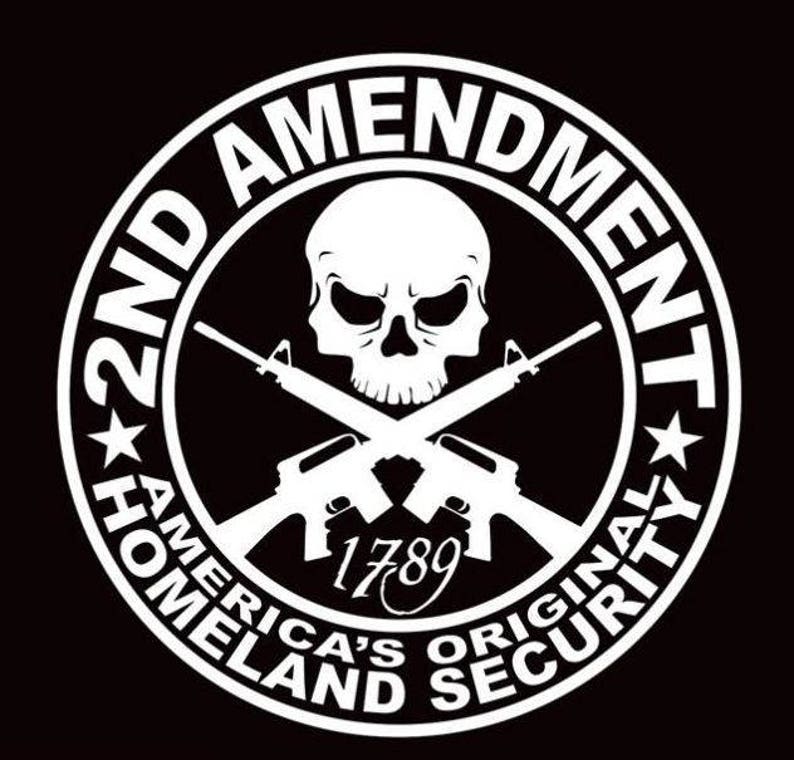 2nd amendment decal sticker Constitution We The People | Etsy
