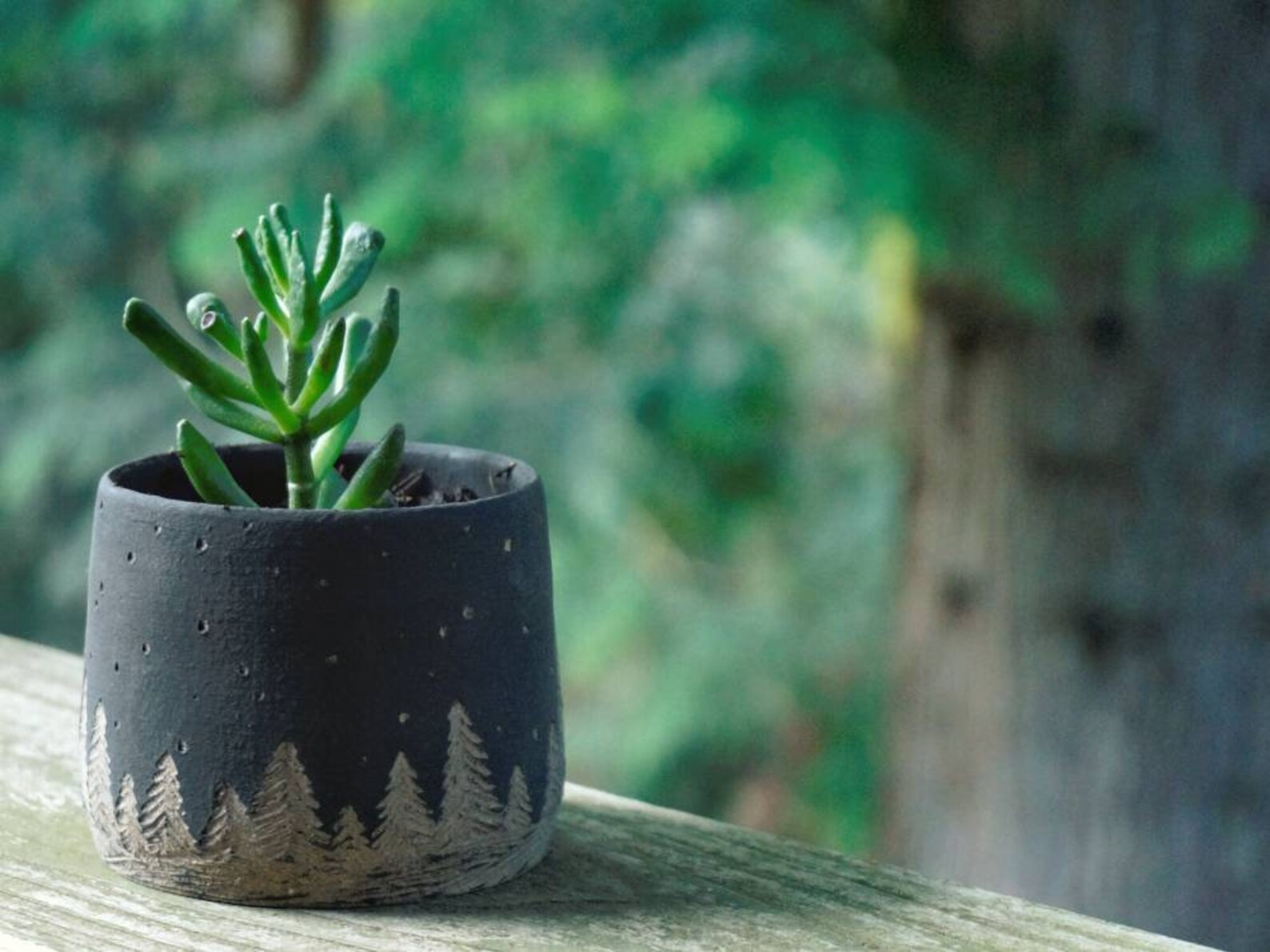 Carved Trees Handmade Ceramic Succulent Pots Clay Pottery - Etsy