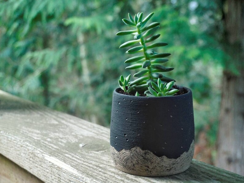 Carved Mountains Handmade Ceramic Succulent Pots Clay Pottery | Etsy