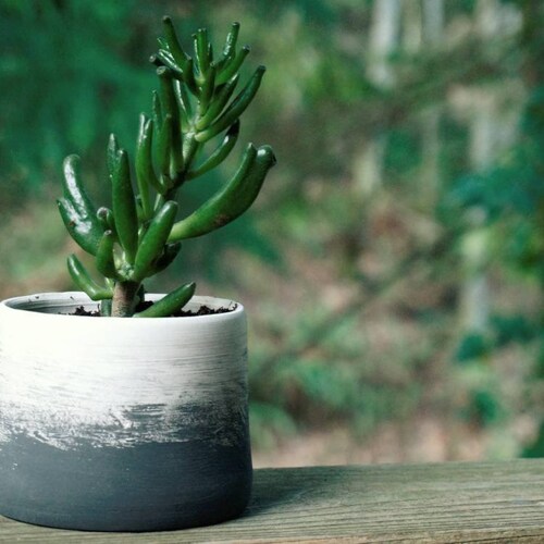 Falling Leaves Handmade Ceramic Succulent Pots Clay Pottery - Etsy