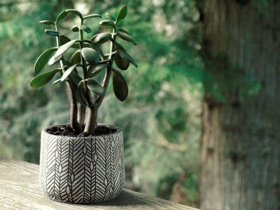 White Teardrops - Handmade Ceramic Succulent Pots Clay Pottery Planters ...