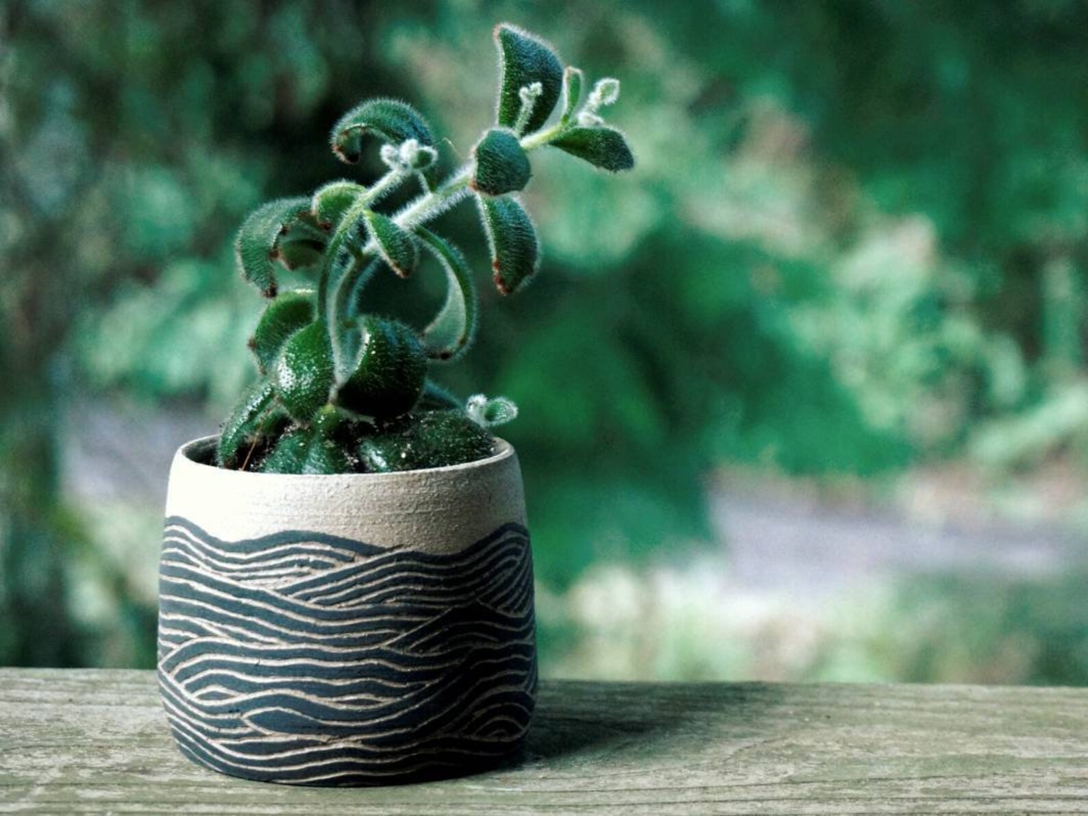 Carved Waves Handmade Ceramic Succulent Pots Clay Pottery - Etsy