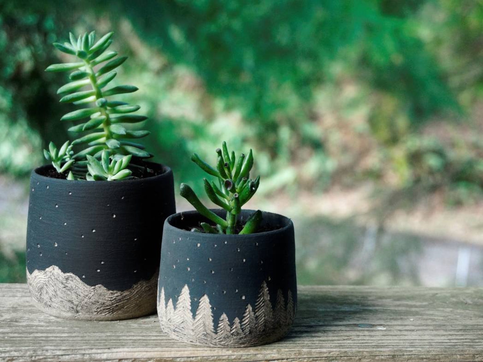 Carved Mountains & Trees Set Handmade Ceramic Succulent Pots - Etsy