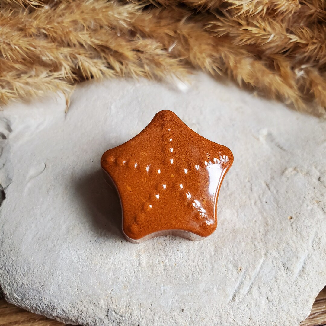 Dulcey Chocolate Star Magnet in Resin. Gluttony Magnet. Easter Magnet ...