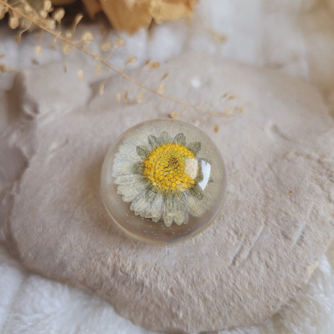 Daisy Flower Half Sphere Magnet. Dried Flower Magnets. Floral - Etsy