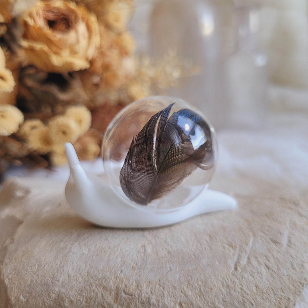 SWANN. Decorative Snail in Resin and Natural Magpie Feather. Unique ...