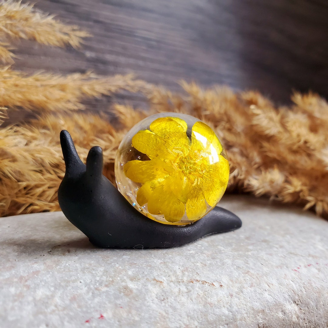 Decorative Resin Snail With Resin Sphere Shell With Dried Lesser ...