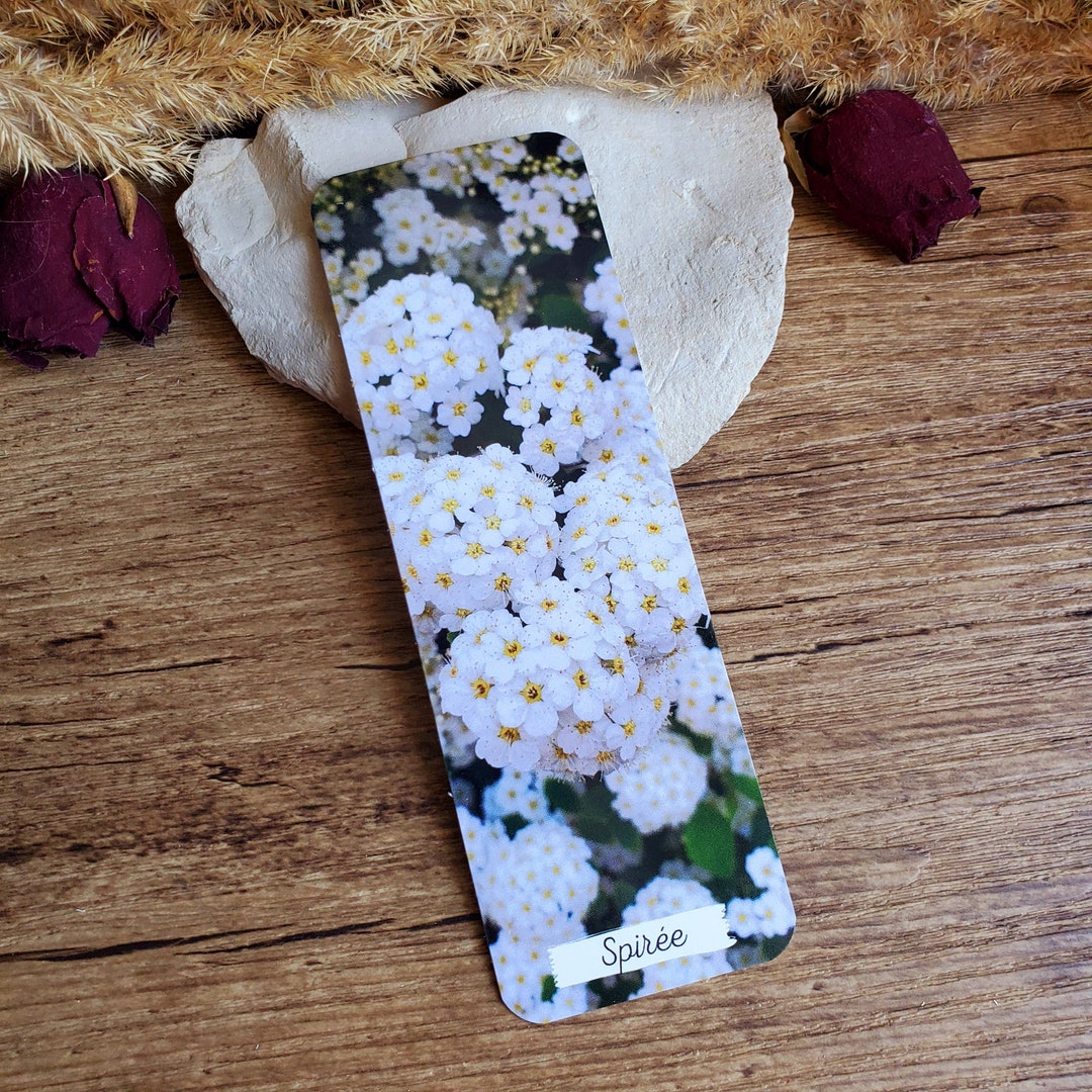 Spirea Flower Photo Bookmark. Floral Bookmark. Paper Bookmark. End-of ...