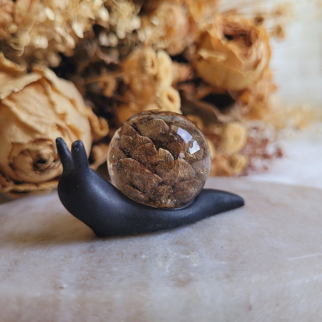 FABIO, Decorative Resin Snail and Mini Pine Cone. Unique Handmade ...