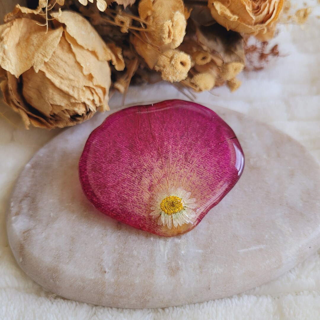 Rose Petal and Dried Daisy Flower Brooch. Crystallized Flower Brooch ...