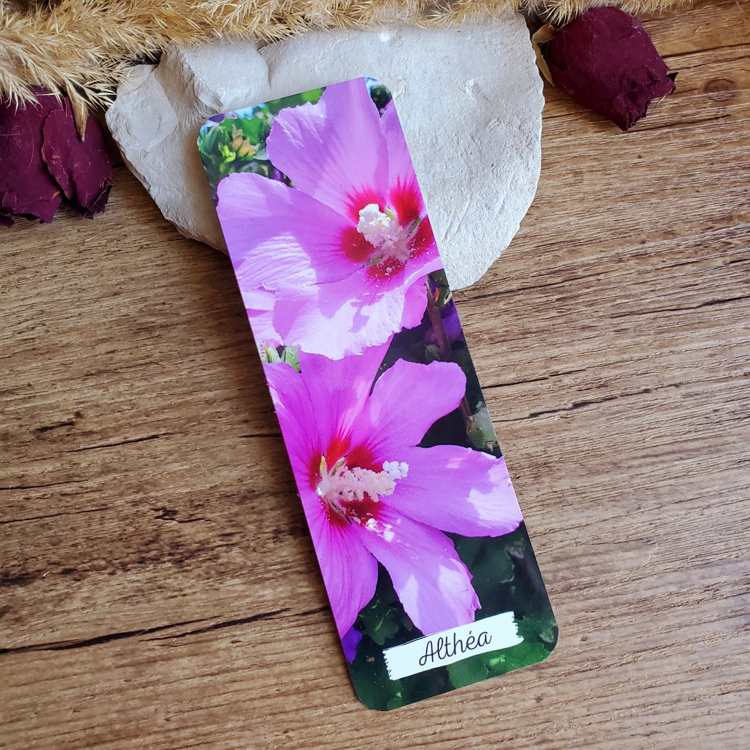 Glossy Bookmark - Original Photo of Althea Flower, Ideal for Low-cost ...