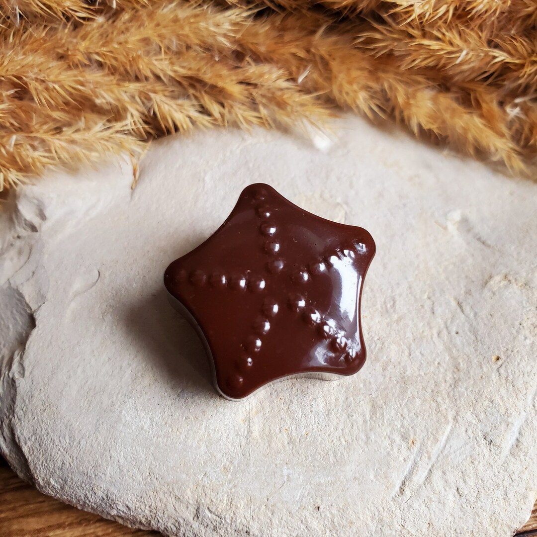 Dark Chocolate Star Magnet in Resin. Gluttony Magnet. Easter Magnet ...