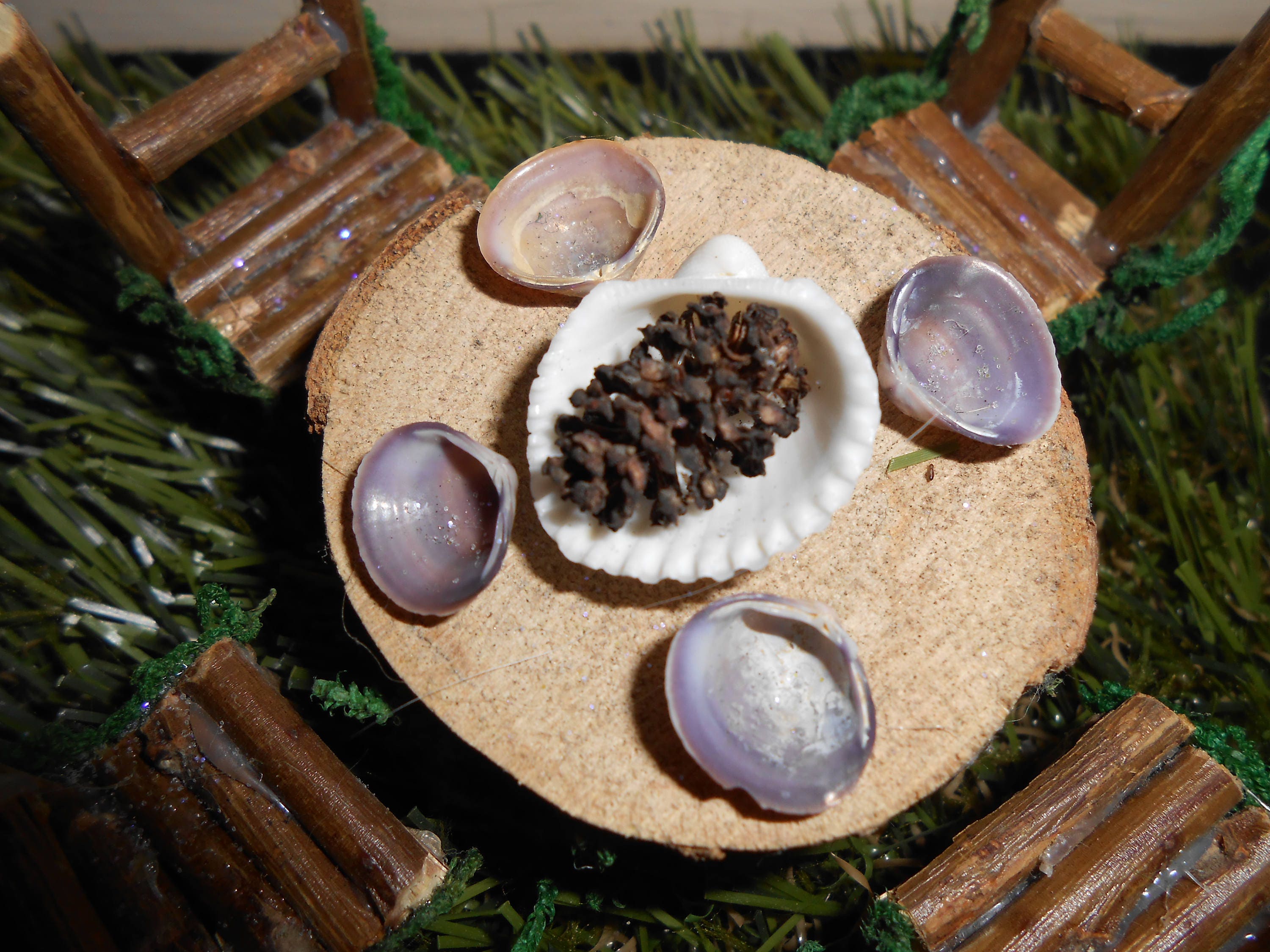 Fairy Picnic Table / Chairs / Shells / Toadstool / Grass / - Etsy