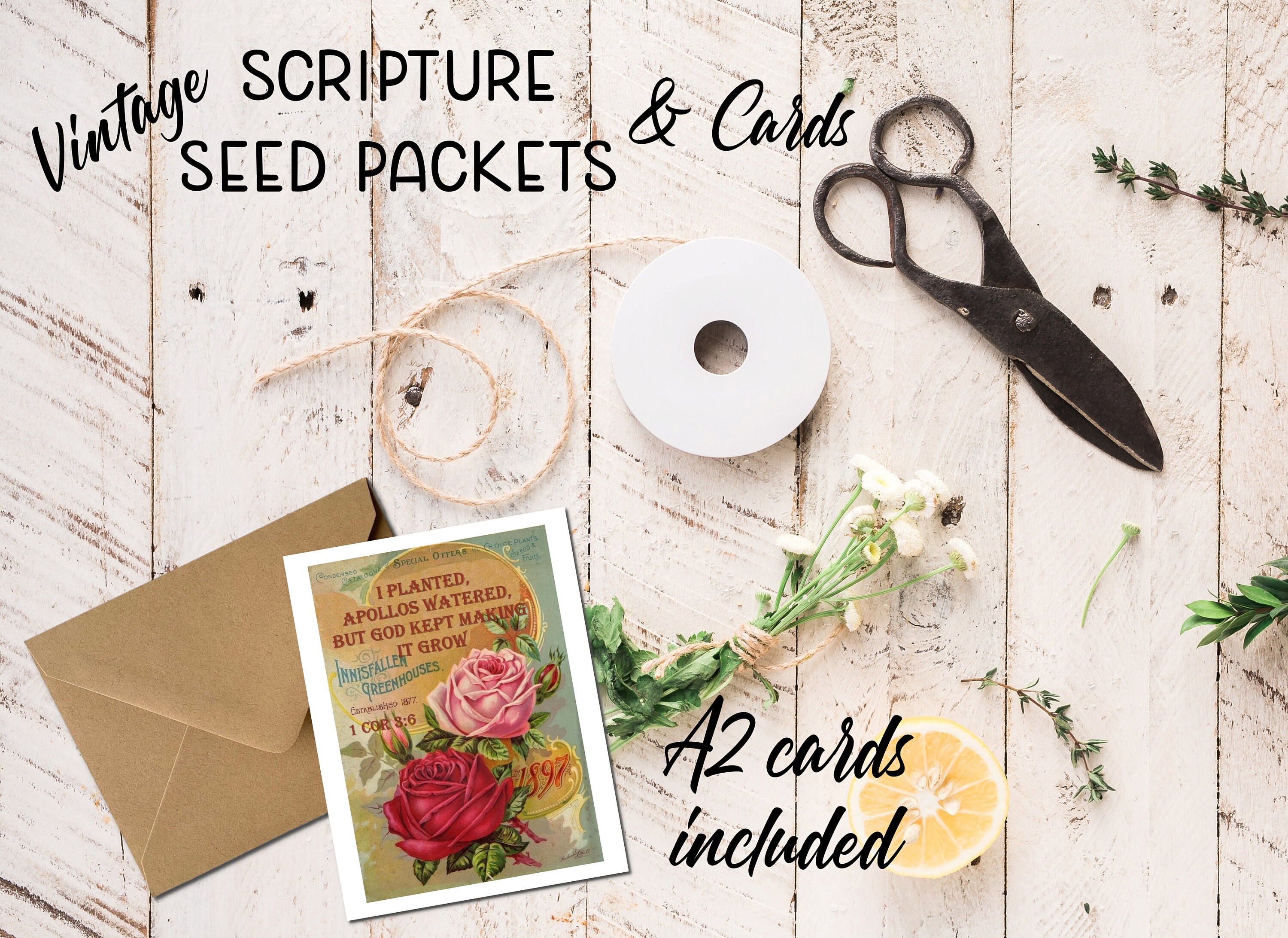 Vintage Scripture Seed Packets & Cards - Etsy