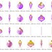 Glam Purple and Gold Christmas Ornament Clipart: Christmas - Etsy