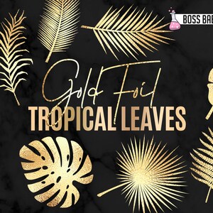 Tropical Leaves, Leaf Clipart, Tropical Clip Art,tropical Plants,rose ...