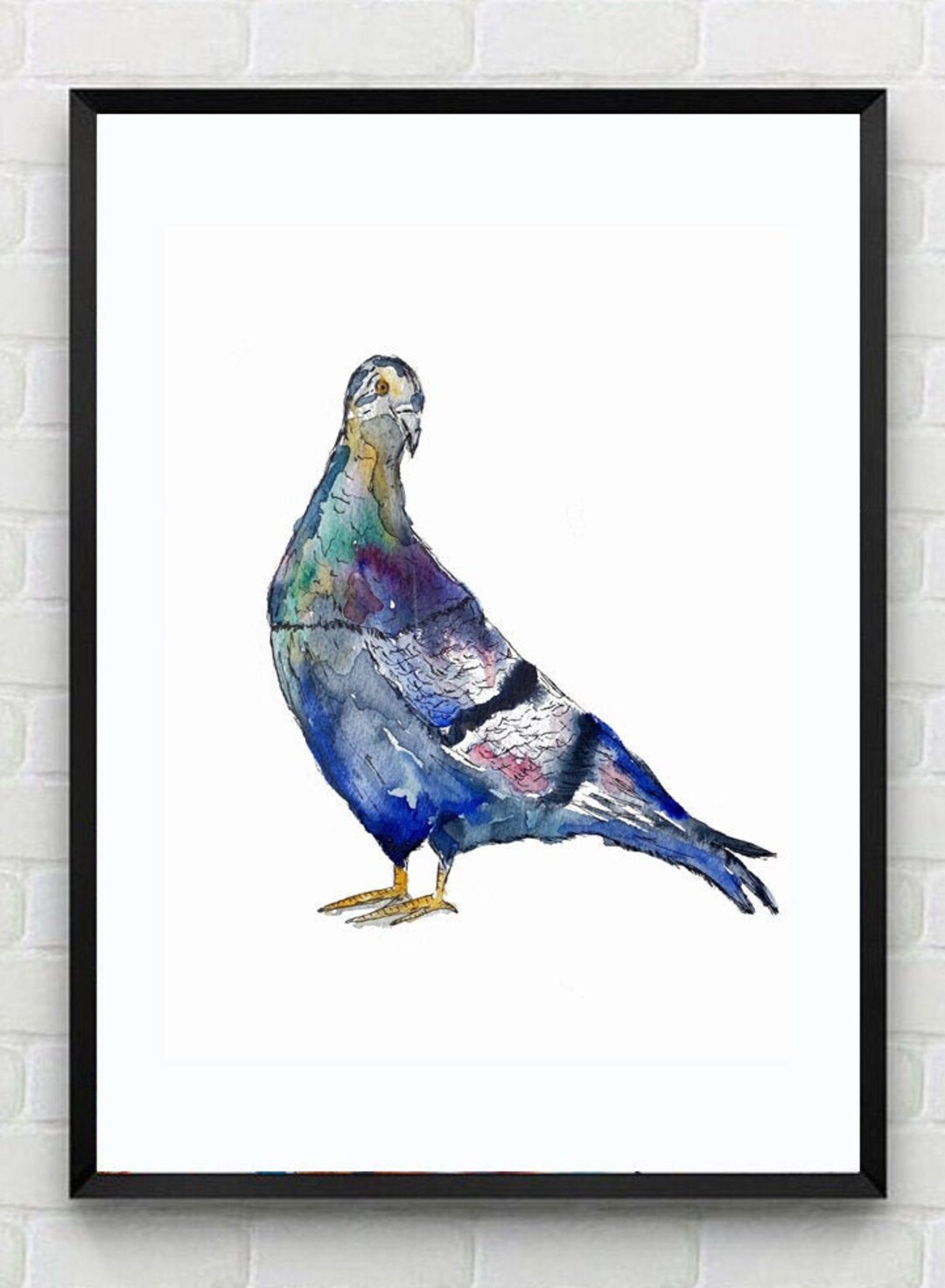 Pigeon Print | Pigeon Art | Watercolour Pigeon | Colourful Wall Art ...