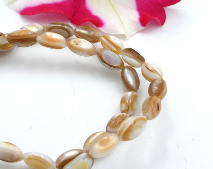 Cowrie Shell, Natural Shell - Holed Shell Bead - Bulk Shells - Beach ...