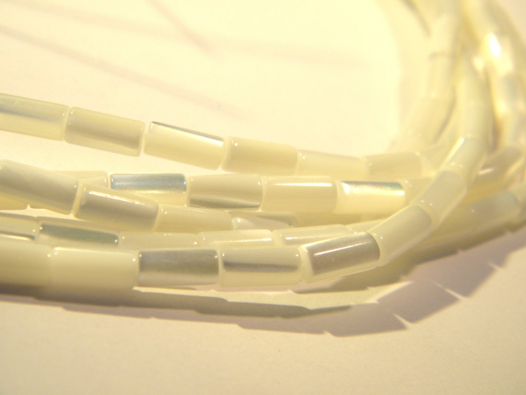 White Trochid Shell, Perforated Periwinkle Shell Pearly Shell, Column ...