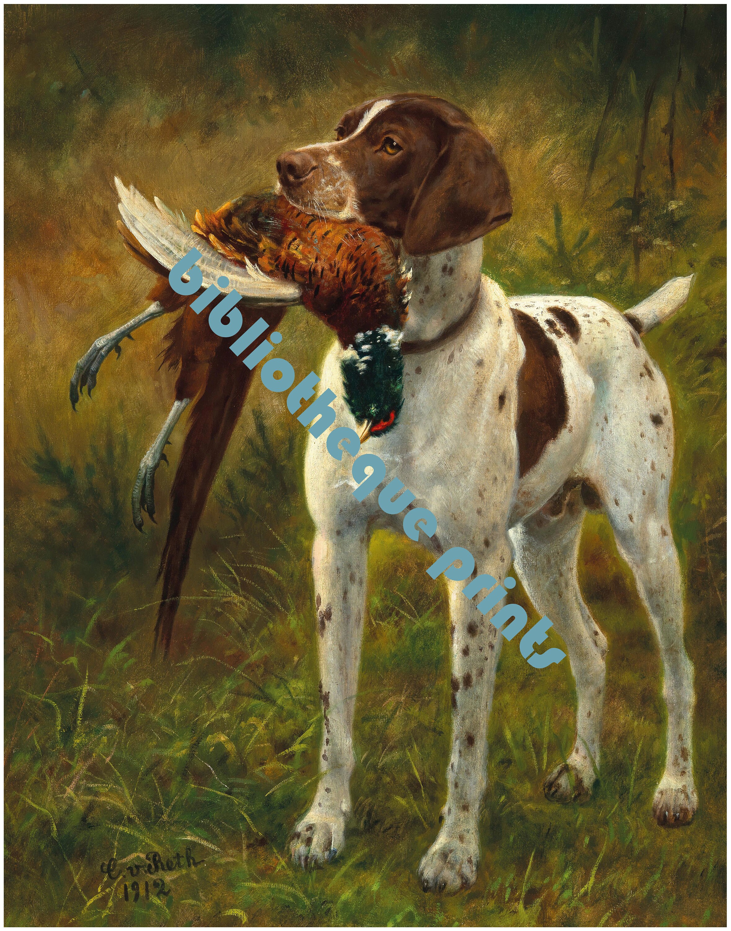 GSP German Shorthaired Pointer Dog Portrait 1912 Oil Painting | Fine ...