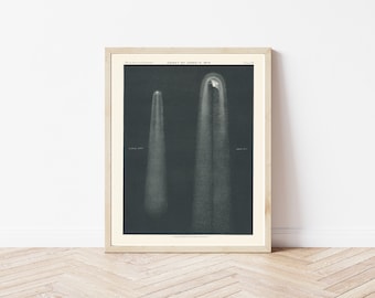 Comet Print Antique Space Painting Vintage Drawing Poster - Etsy