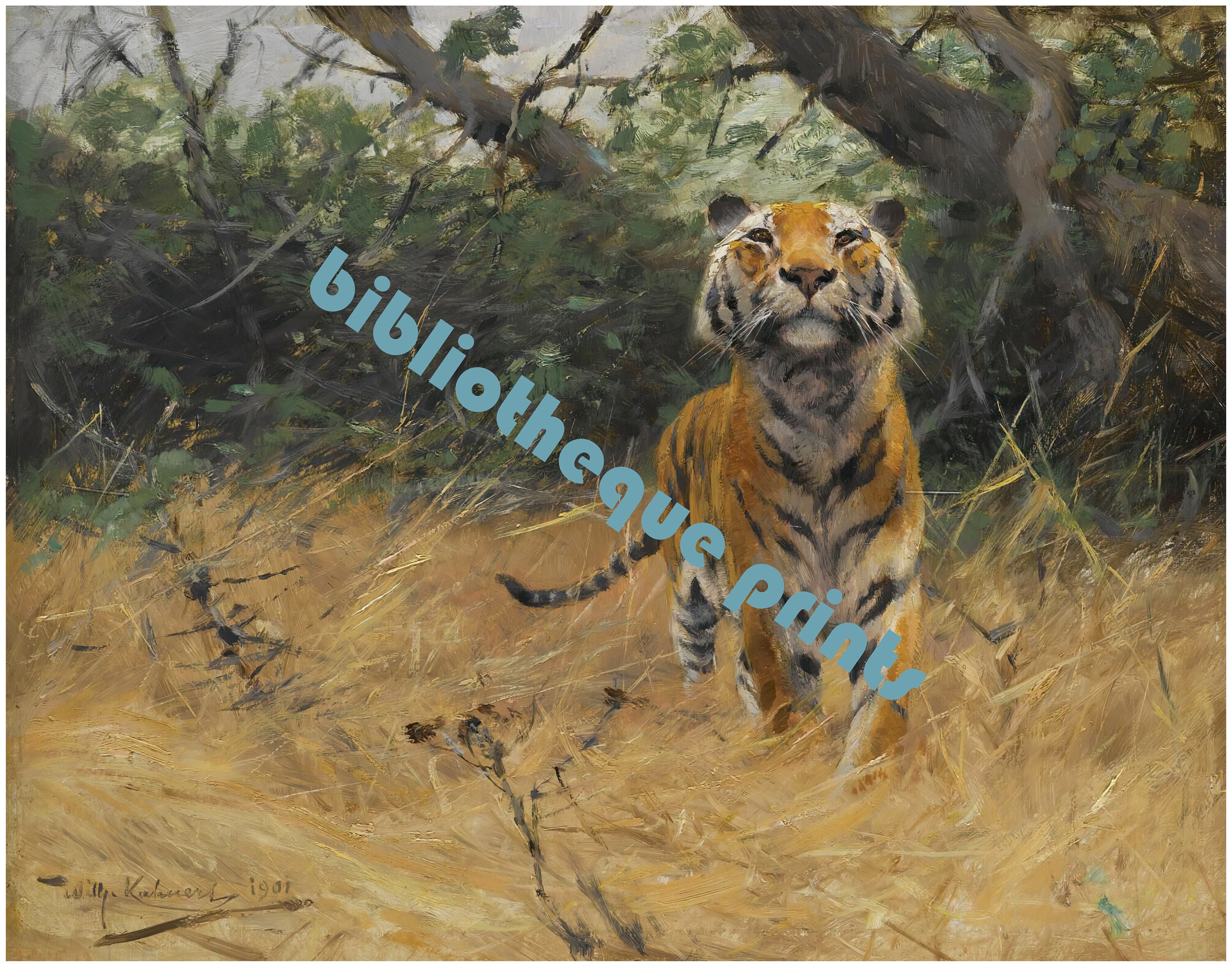 Tiger 1901 Oil Painting | Fine Art Print - Etsy