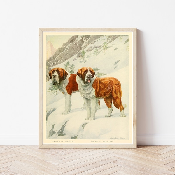 St Bernard Art Print - Etsy