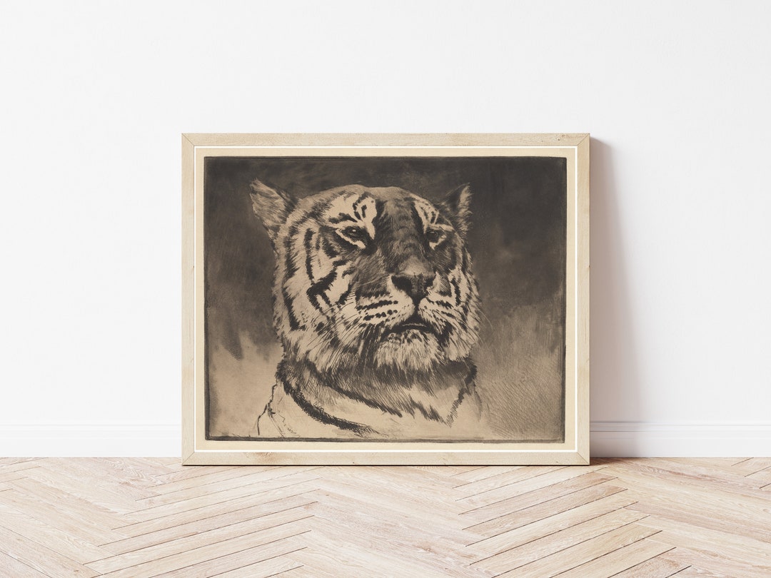 Tiger Head 1888 Etching | Fine Art Print - Etsy