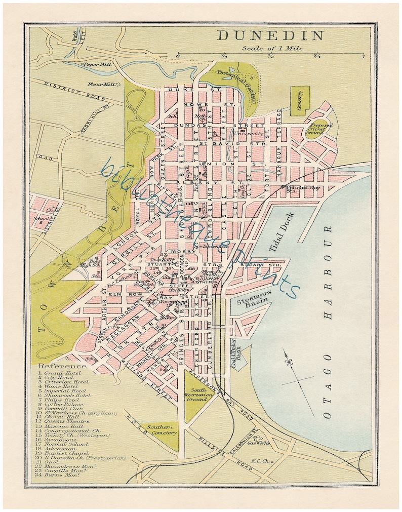Dunedin New Zealand 1893 Map Fine Art Print - Etsy New Zealand