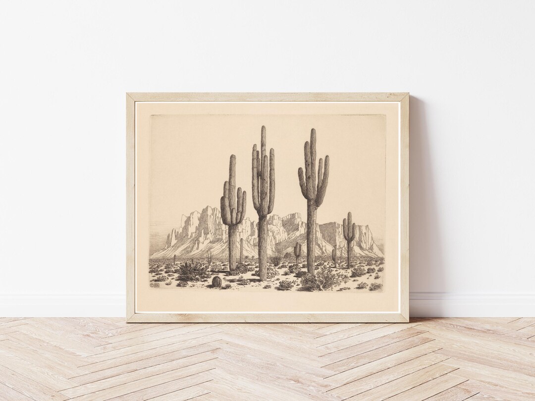 Phoenix Arizona Desert Landscape Cacti & Mountains 1930 Etching | Fine ...