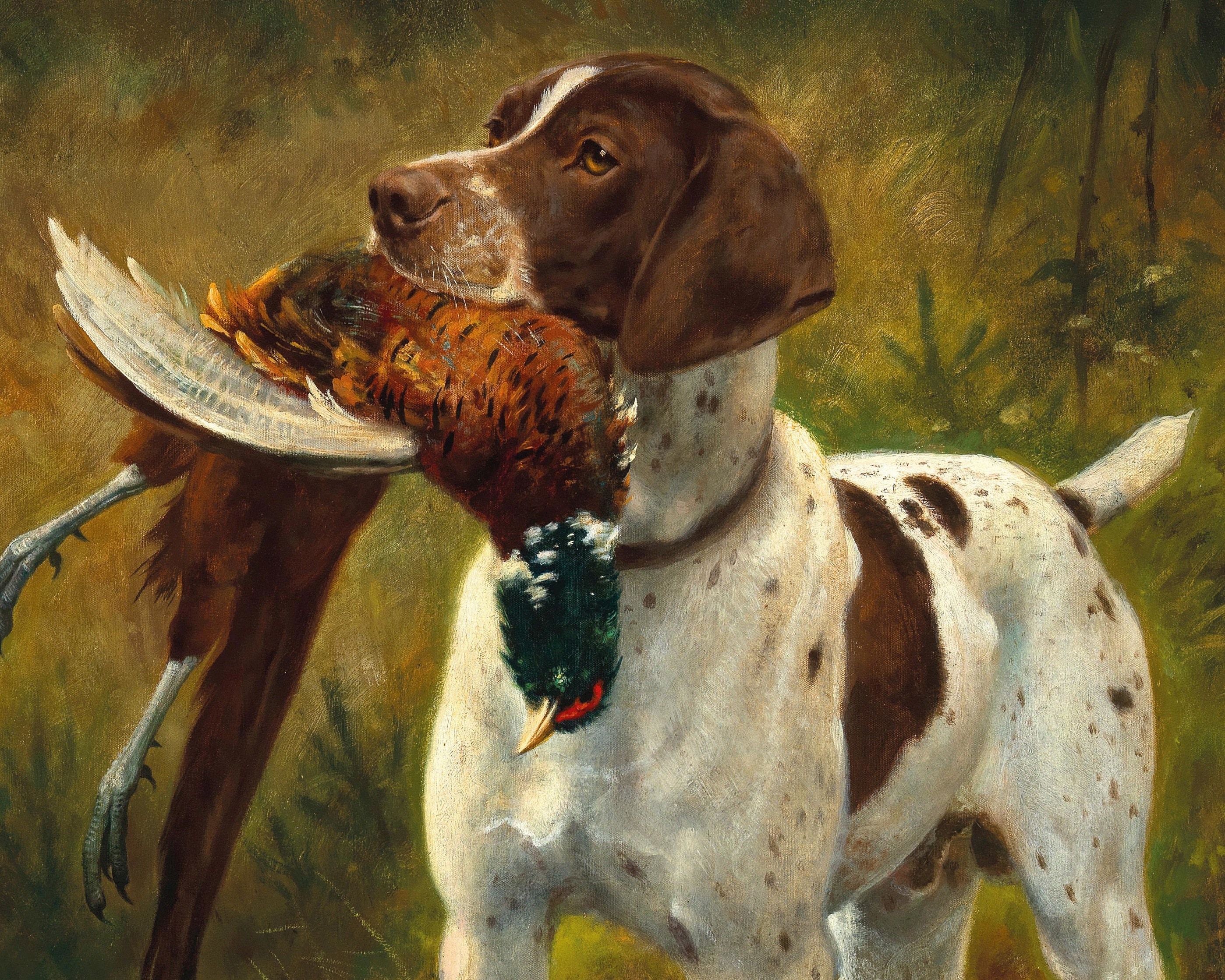 GSP German Shorthaired Pointer Dog Portrait 1912 Oil Painting | Fine ...