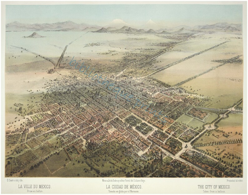 Mexico City 1869 Bird's Eye View Map Fine Art Print | Etsy