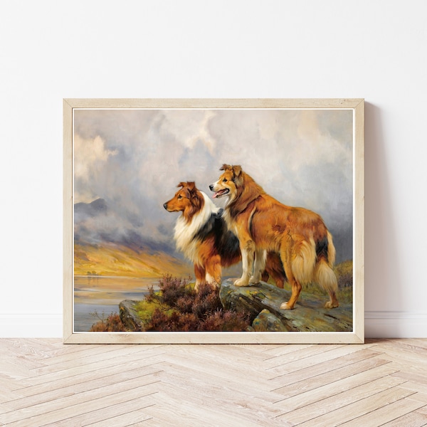 Collie Dog Art - Etsy