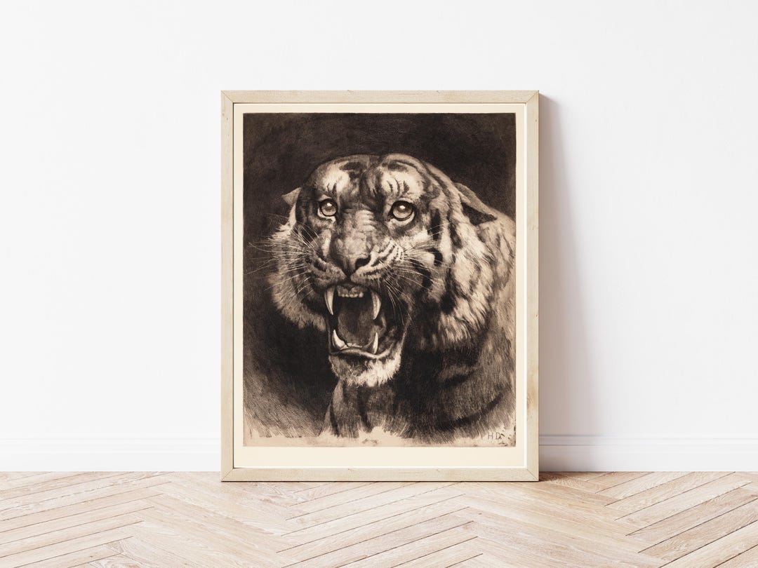Growling Tiger 1891 Etching | Fine Art Print - Etsy