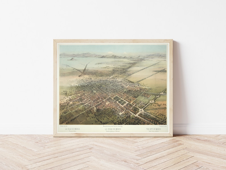 Mexico City 1869 Bird's Eye View Map Fine Art Print | Etsy