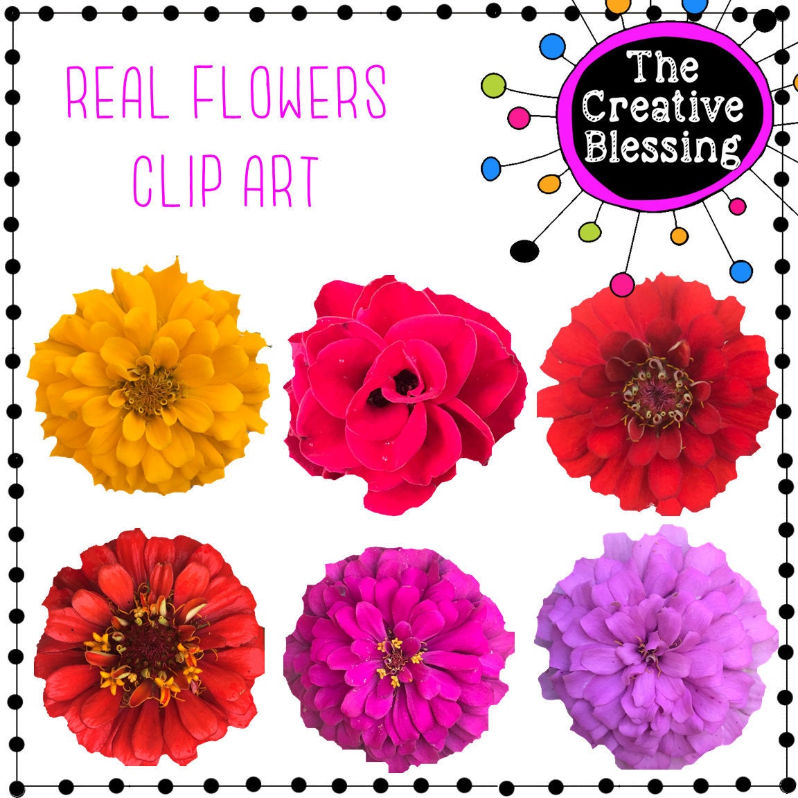 Real Flower Clip Art Digital Stickers - Etsy
