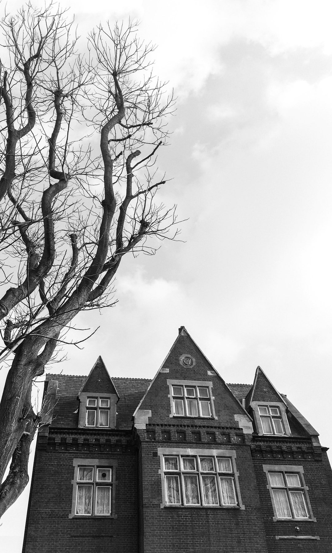 London Creepy House and Tree Mini 3x5 Photo Print - Etsy